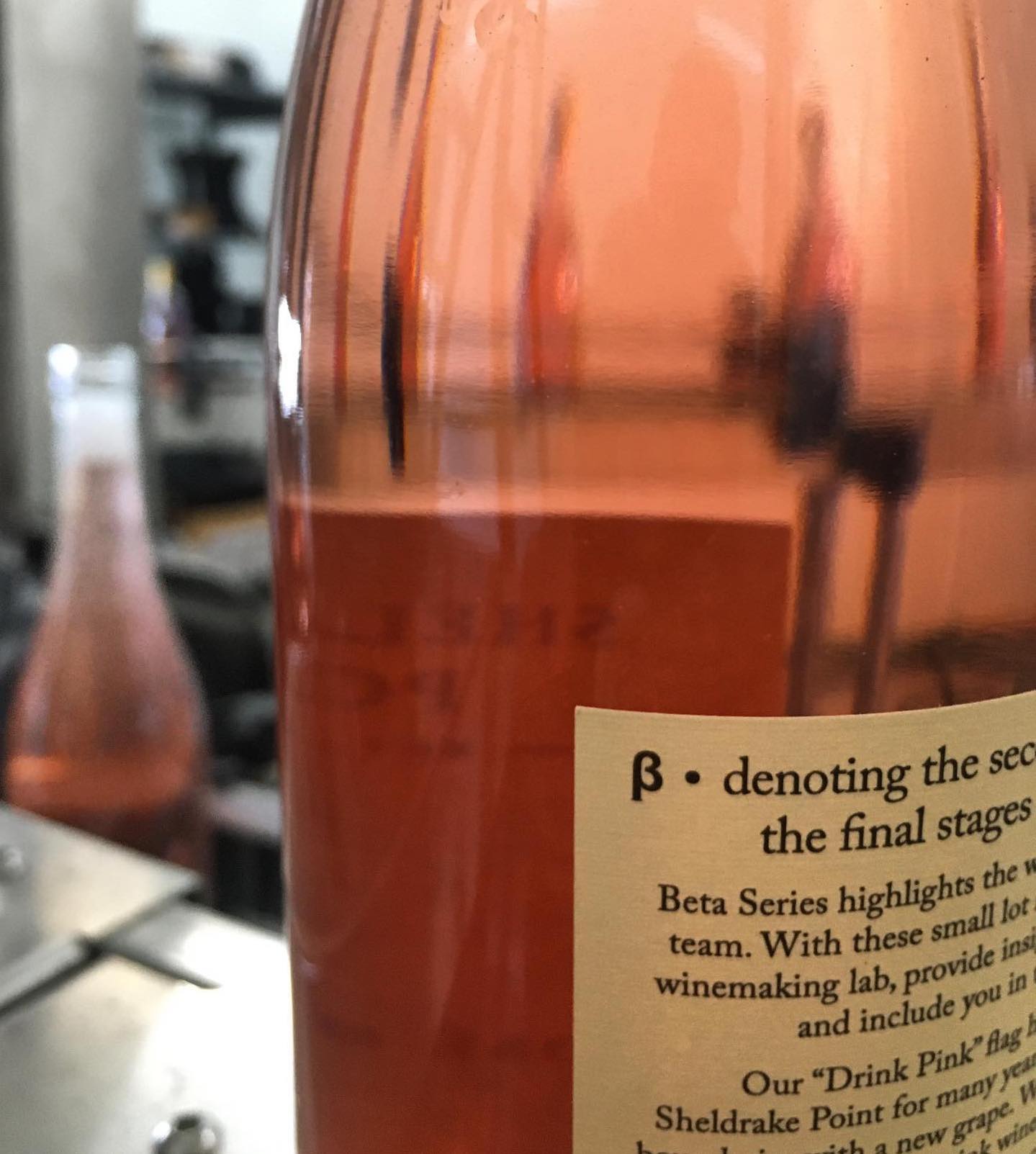 About • Sheldrake Point Winery • Estate Vineyard • Finger Lakes, NY